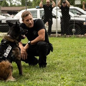 Muzzle - Rotten Tomatoes