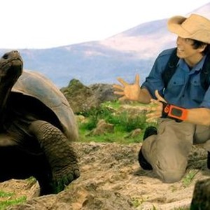 Andy's Wild Adventures: Season 2, Episode 2 - Rotten Tomatoes