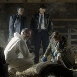 Vera: Season 1 - Rotten Tomatoes