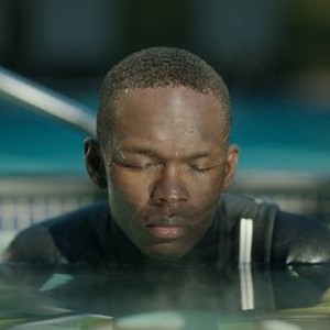 Stylebender - Rotten Tomatoes