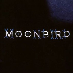 Moonbird - Rotten Tomatoes
