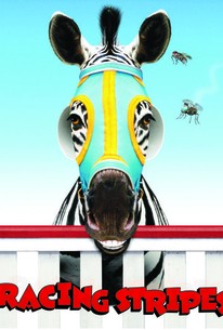 Racing Stripes (2005) - Rotten Tomatoes