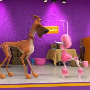 Marmaduke - Rotten Tomatoes