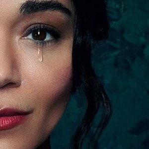 The Strays - Rotten Tomatoes