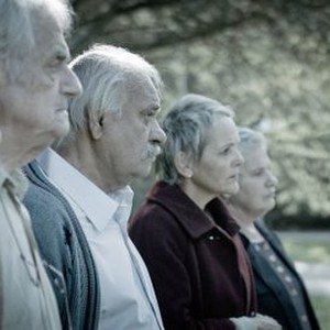 Levana Finkelstein - Rotten Tomatoes