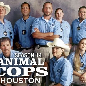 Animal Cops: Houston: Season 14, Episode 11 - Rotten Tomatoes