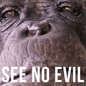 See No Evil - Rotten Tomatoes