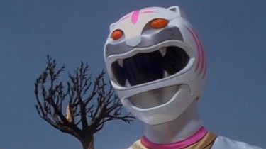 Power Rangers Wild Force Alyssa