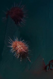 Life on Our Planet: Season 1, Episode 2 | Rotten Tomatoes