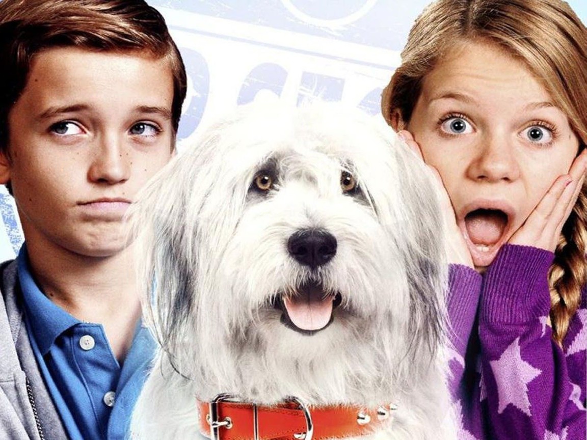 Abner The Invisible Dog Movie