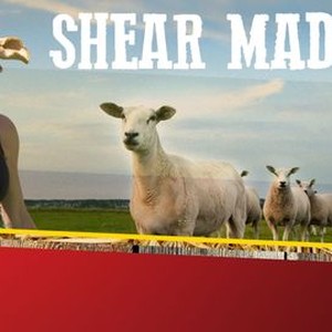 Shear Madness - Rotten Tomatoes