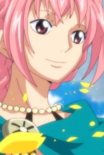 One Piece: Season 17, Episode 67 | Rotten Tomatoes