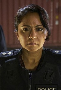 DI Ray: Season 2 | Rotten Tomatoes