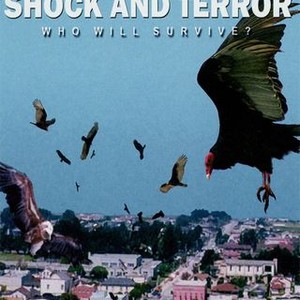 Birdemic: Shock And Terror (2008) - Rotten Tomatoes
