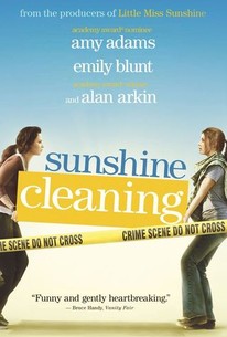 Sunshine Cleaning Rotten Tomatoes