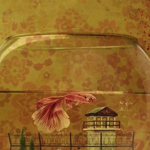 Guilty Party - Rotten Tomatoes