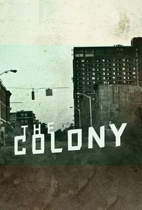 The Colony | Rotten Tomatoes