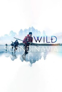 Wild Scandinavia: Season 1 | Rotten Tomatoes