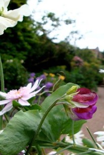 Country House Rescue: Season 1, Episode 1 | Rotten Tomatoes