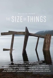 The Size of Things | Rotten Tomatoes