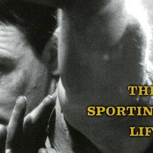 This Sporting Life - Rotten Tomatoes