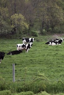 Rotten: Season 1, Episode 5 | Rotten Tomatoes