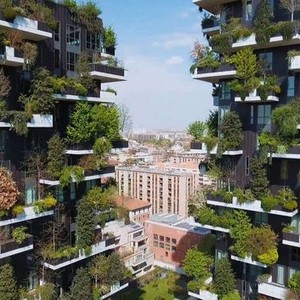 How Did They Build That?: Season 1, Episode 4 - Rotten Tomatoes