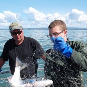 Alaska Fish Wars - Rotten Tomatoes