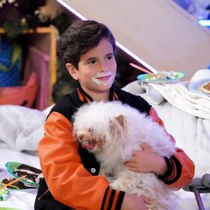 The Fairly OddParents: Fairly Odder - Rotten Tomatoes