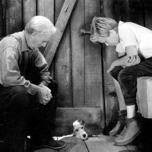 O.P. Heggie - Rotten Tomatoes