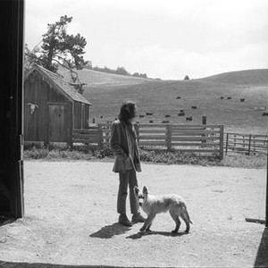 Neil Young: Harvest Time - Rotten Tomatoes