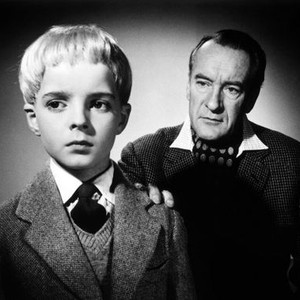 Martin Stephens - Rotten Tomatoes