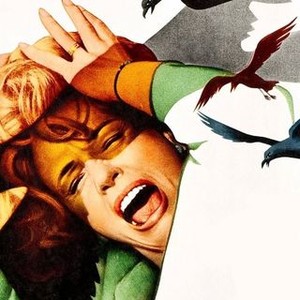 The Birds - Rotten Tomatoes