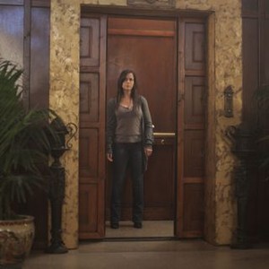 Havenhurst - Rotten Tomatoes