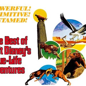 The Best of Walt Disney's True-Life Adventures - Rotten Tomatoes