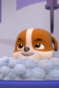 PAW Patrol: Season 1, Episode 1 | Rotten Tomatoes
