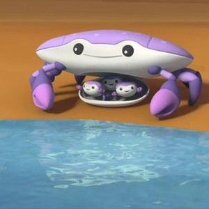 Octonauts: Above & Beyond: Season 1, Episode 5 - Rotten Tomatoes