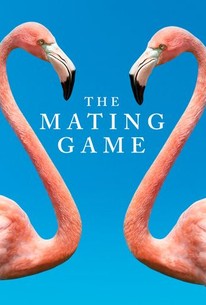 The Mating Game - Rotten Tomatoes