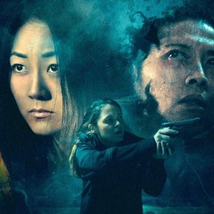 Stray - Rotten Tomatoes