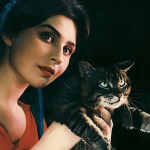 The Cassandra Cat - Rotten Tomatoes