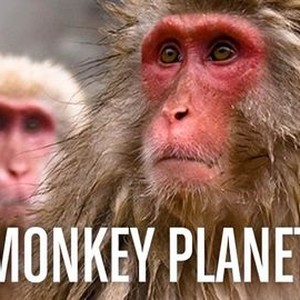 Monkey Planet - Rotten Tomatoes