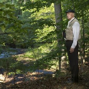 Gerald McRaney - Rotten Tomatoes