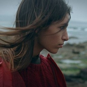 Sica - Rotten Tomatoes