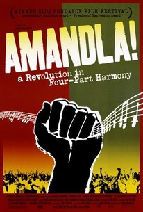 Amandla! A Revolution in Four-Part Harmony | Rotten Tomatoes