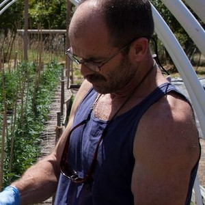 Weed Country - Rotten Tomatoes