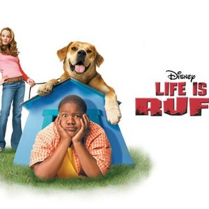 Life Is Ruff (2005) - Rotten Tomatoes