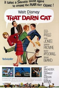That Darn Cat! | Rotten Tomatoes