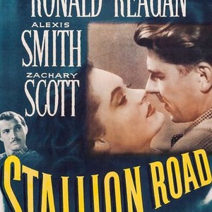 Stallion Road - Rotten Tomatoes