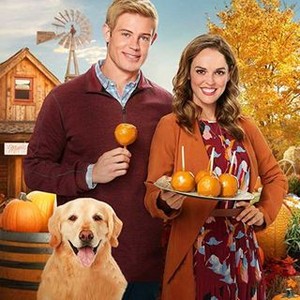 Love, Fall & Order - Rotten Tomatoes