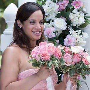 The Perfect Match - Rotten Tomatoes